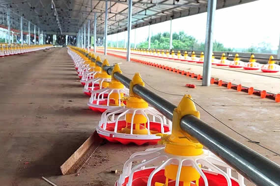 Intergrated Agro Allied Poultry Services Ltd.